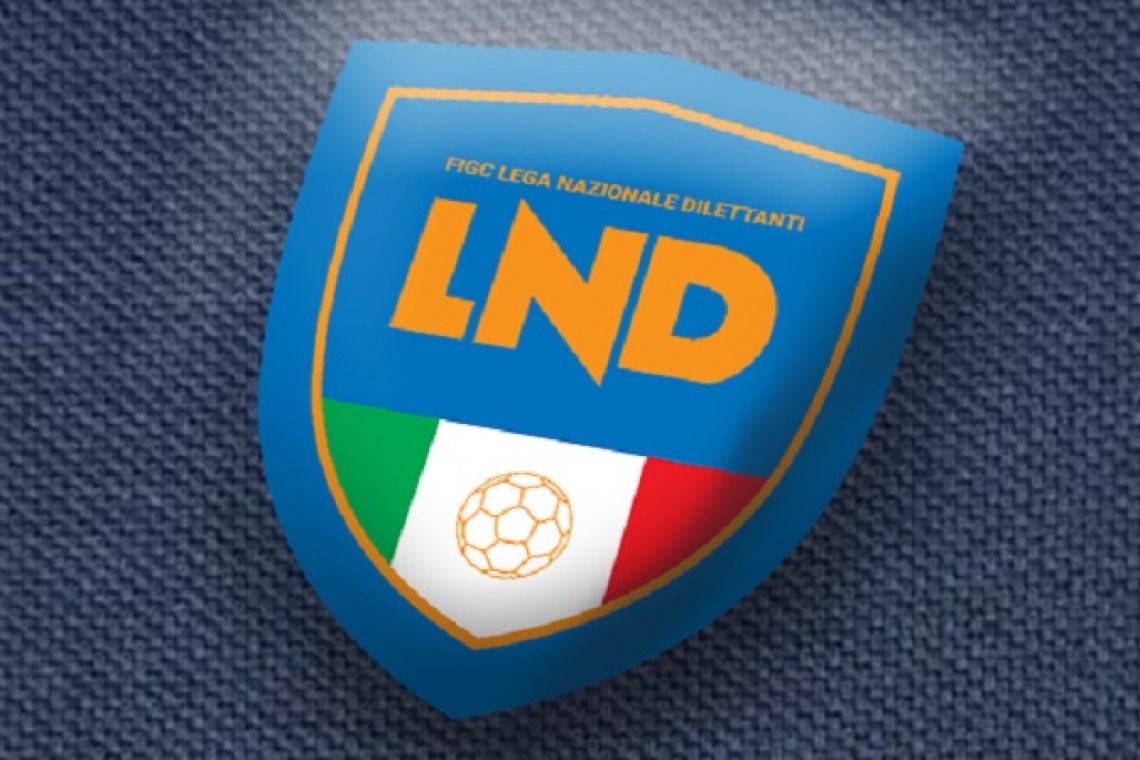 Meccanismi Promozione e Retrocessione s.s. 2022/2023 - Ripescaggi s.s. 2023/2024 - Lega ...